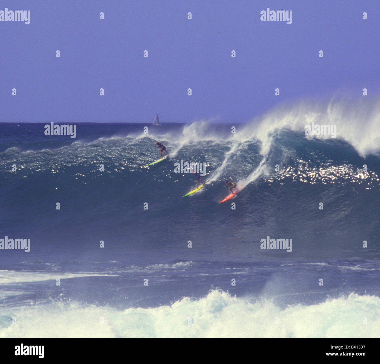 Waimea Bay Wave surfing surf surfing sports aquatic sports water sports ...