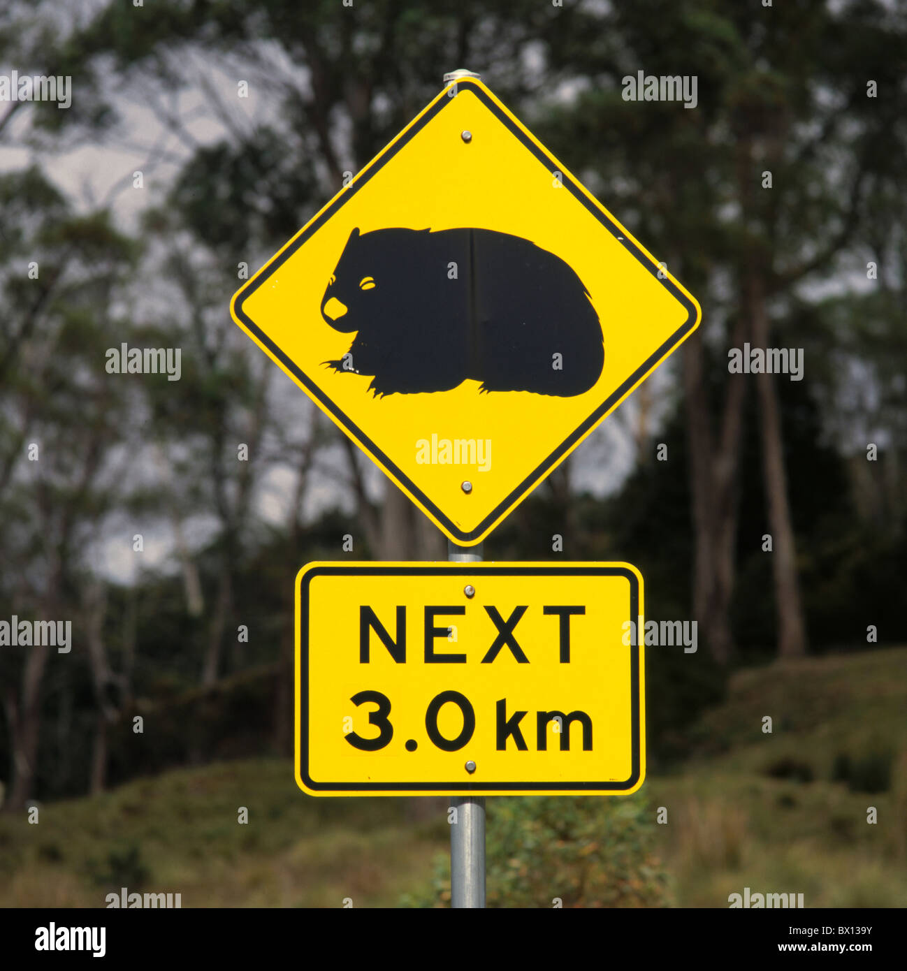 shield sign board care Wombats Wombat warning protection of animals ...