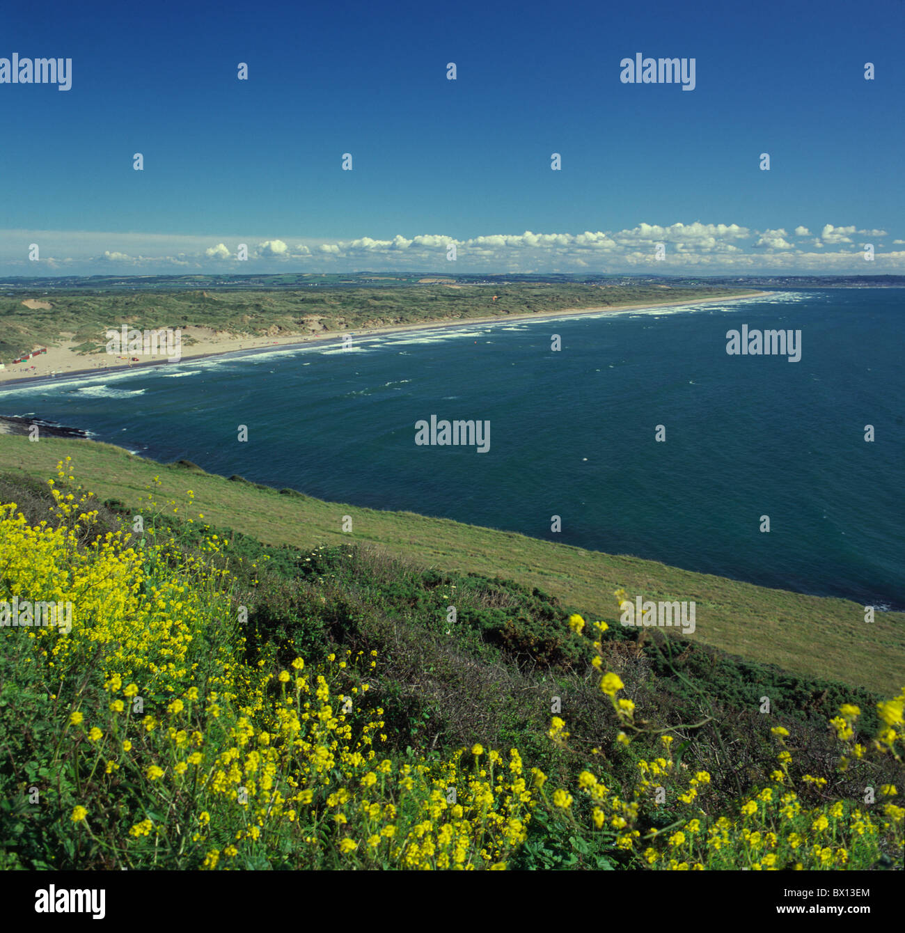 scenery landscape coast sea flowers Saunton Sands beach Braunton ...