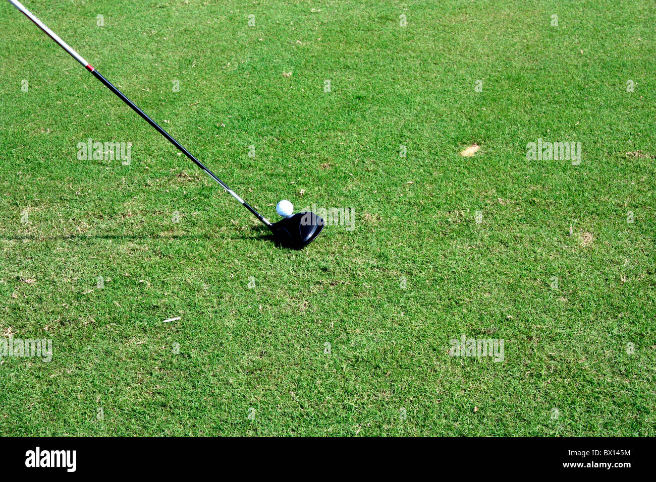 A driver placed to hit golf ball Stock Photo - Alamy
