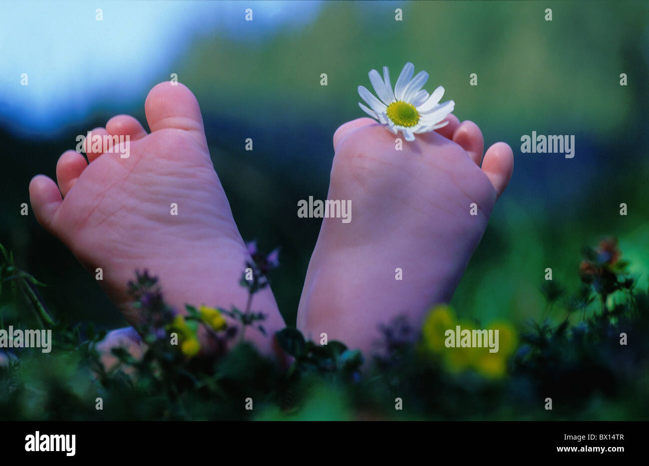 Baby child close up detail feet flower flower meadow flowers foot ...