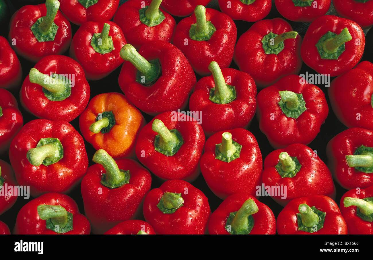 Assorted Bell Colour Colourful Different Food Frame Fresh Full ...