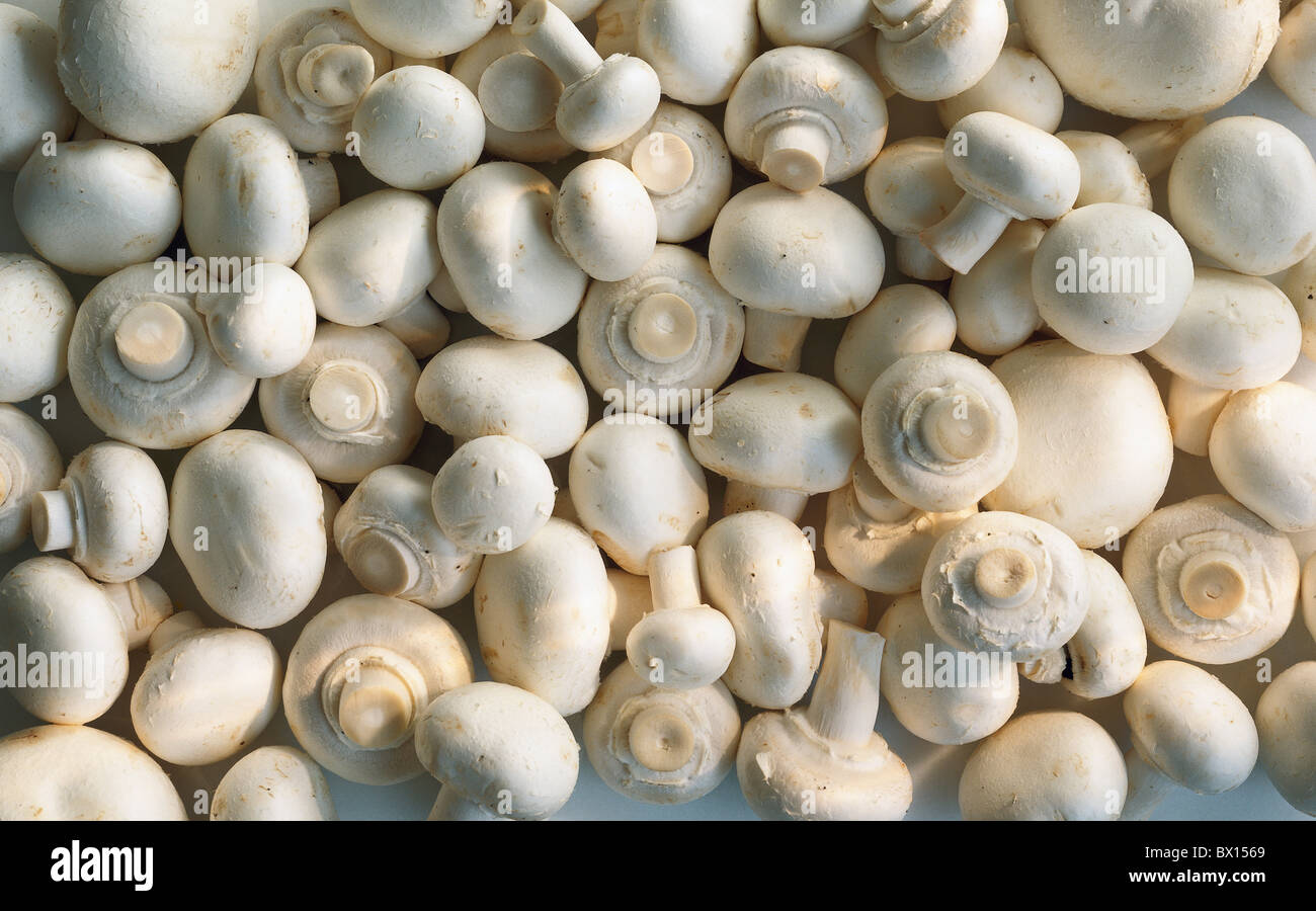 Champignon Champignons Cultivated Edible Food Frame Fresh Full Fungi ...