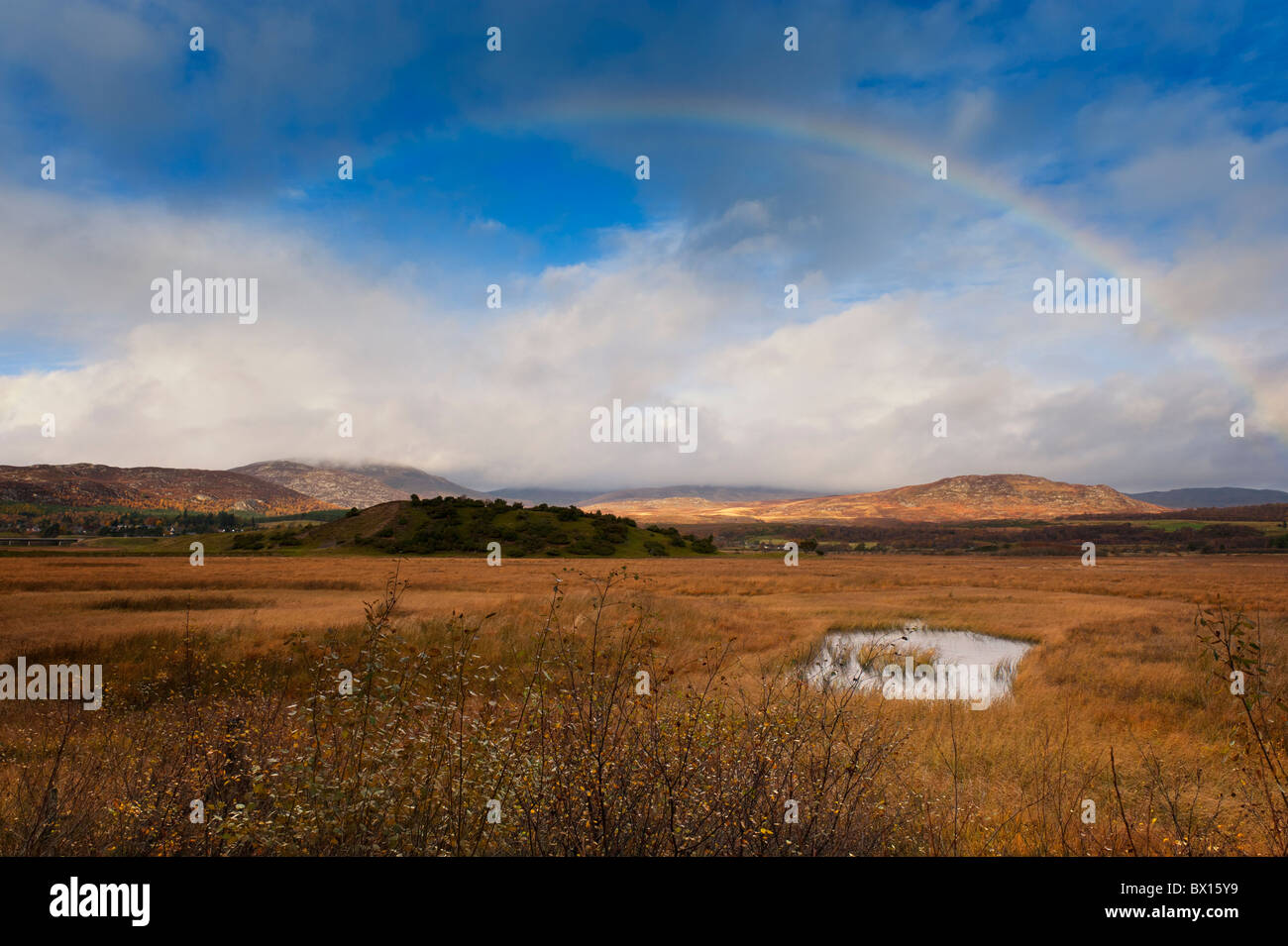 Insh Marshes National Nature Reserve High Resolution Stock Photography ...