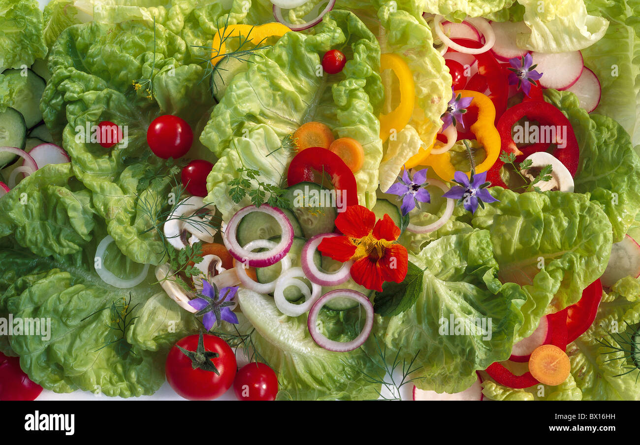 Assorted Cucumber Endive Flower Food Frame Fresh Full Green Healthy ...