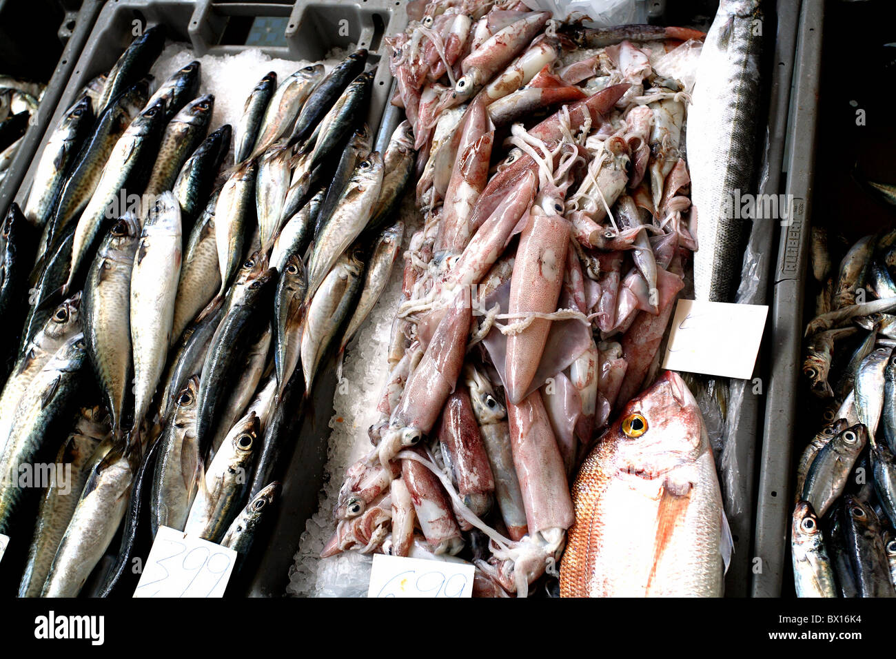 Fish Market Funchal Madeira Stock Photo - Alamy