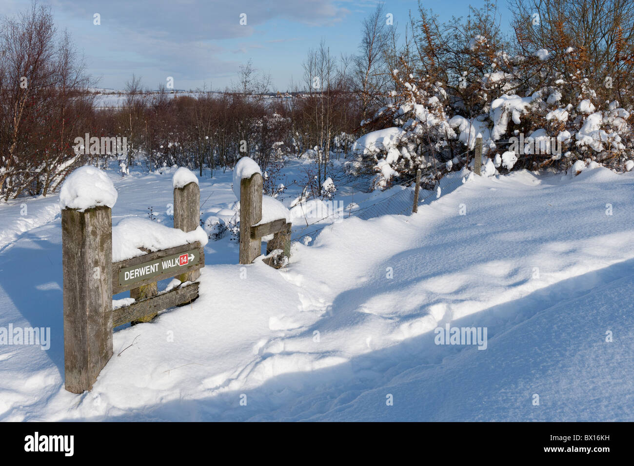 Derwent walk hi-res stock photography and images - Alamy