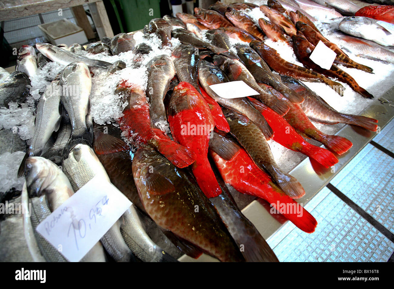 Fish Market Funchal Madeira Stock Photo - Alamy