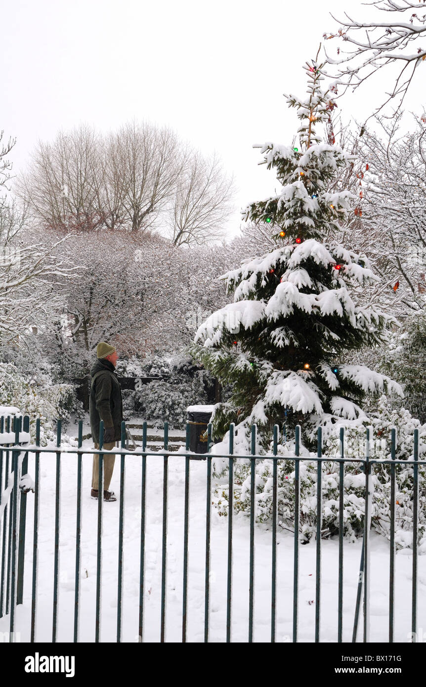 man admiring the christmas tree outside winton library wimborne road ...