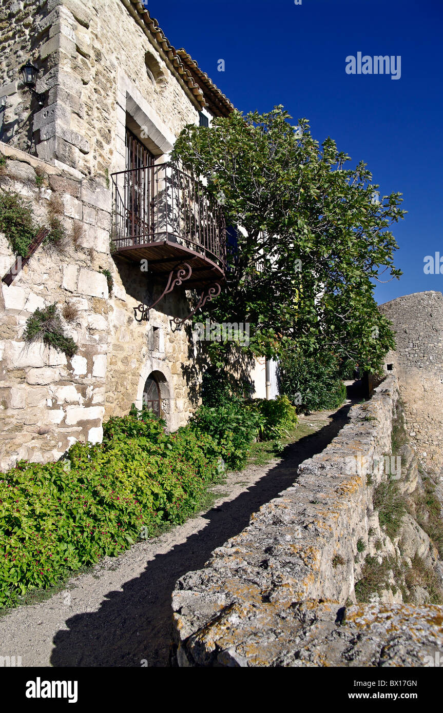 Fig tree point hi-res stock photography and images - Alamy