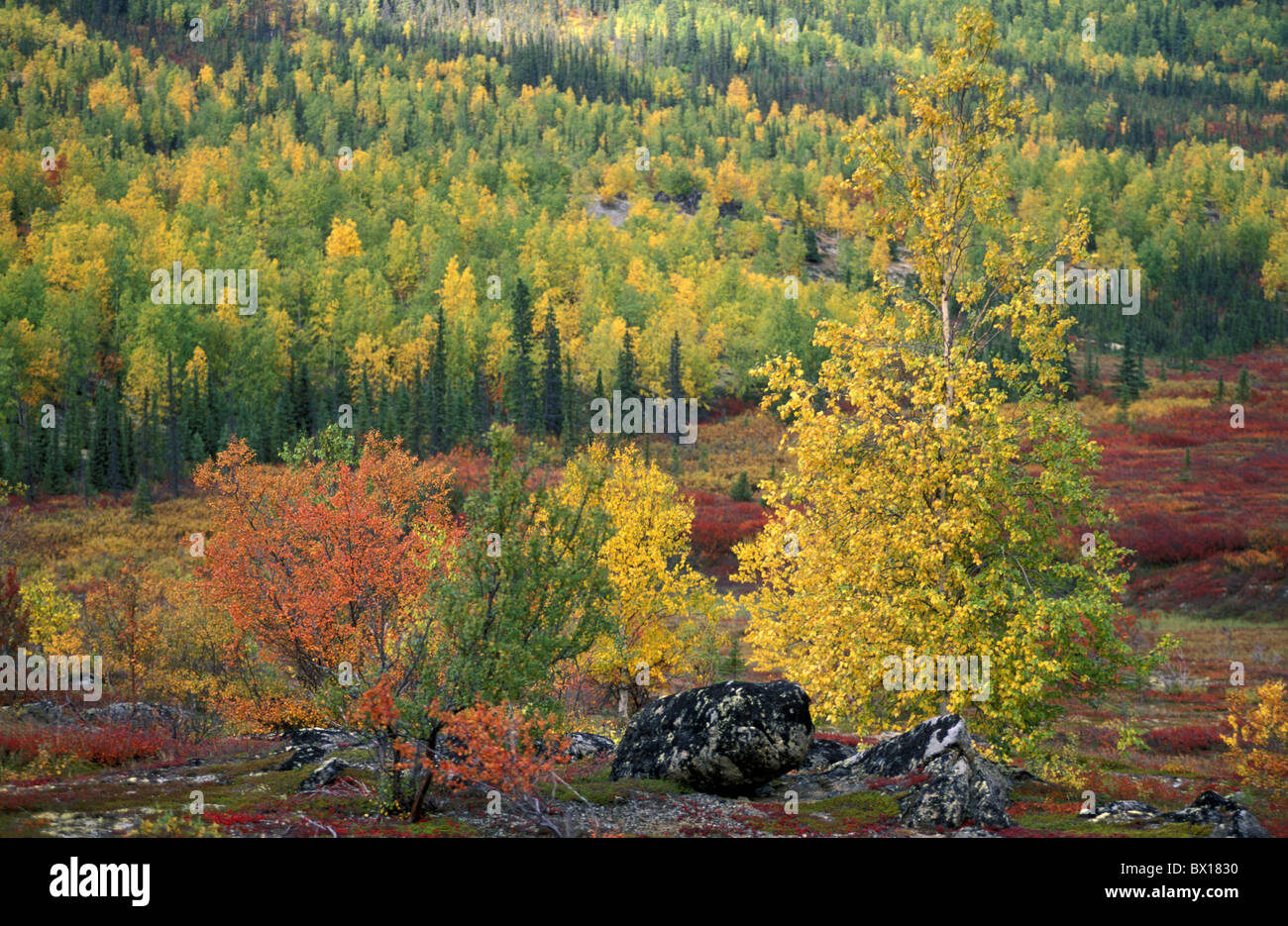 Dalton and dalton hi-res stock photography and images - Alamy