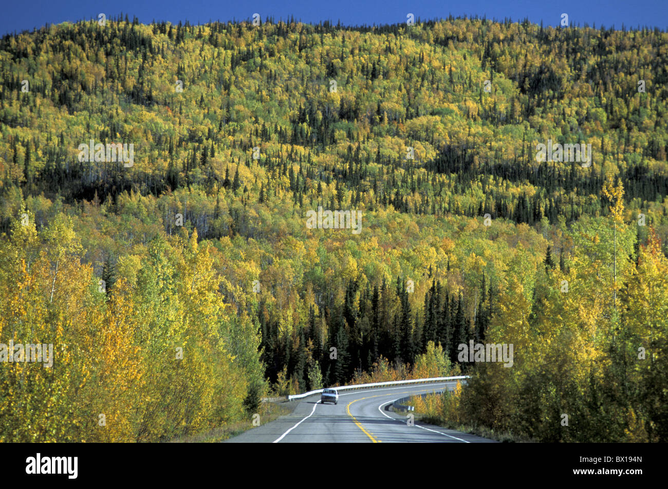 Alaska along Dalton Highway Fall Foliage USA America United States ...