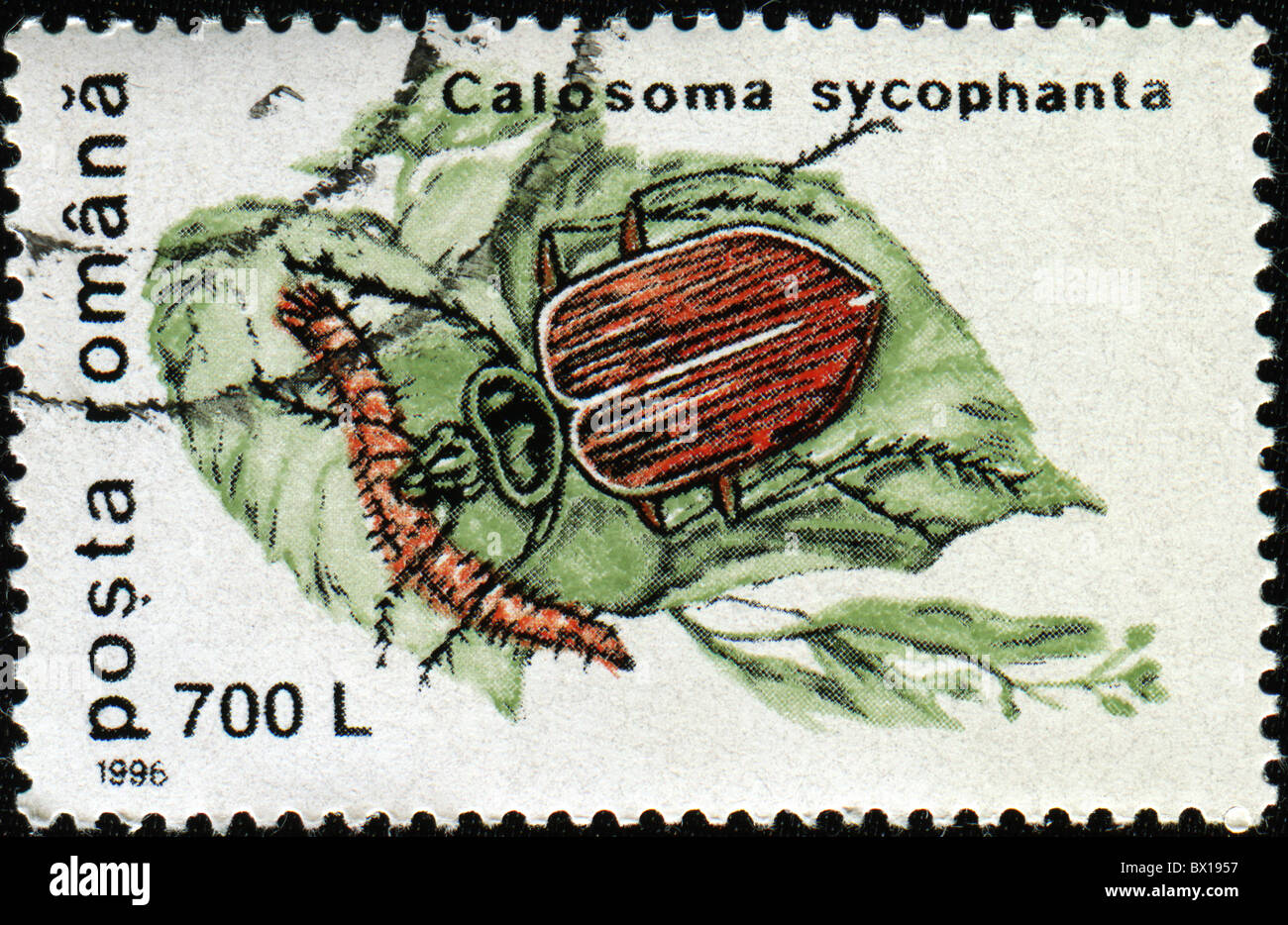 ROMANIA - CIRCA 1996: A stamp printed in Romania shows bug forest ...