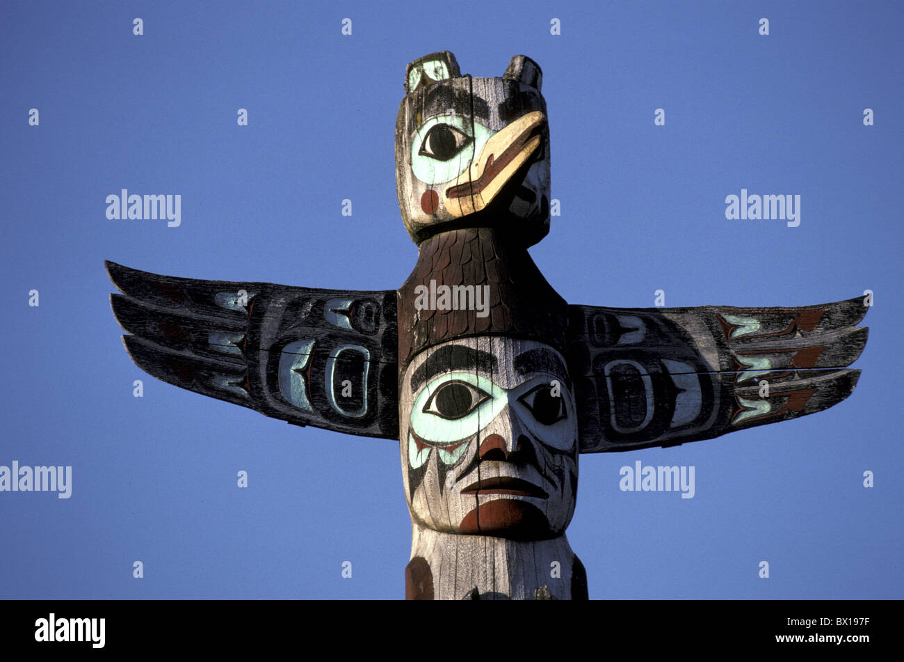 Native to usa or america hi-res stock photography and images - Alamy