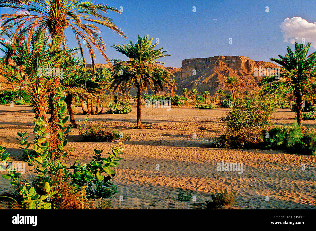 Wadi Hadhramaut Hadramaut landscape desert Yemen Arabia Orient World ...