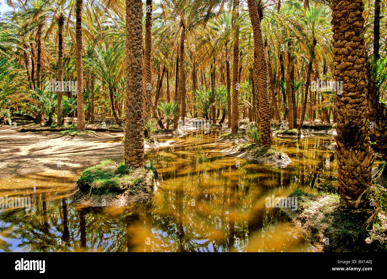 Wadi doan hadramaut yemen hi-res stock photography and images - Alamy