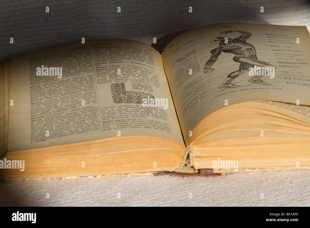 open book with human body picture Stock Photo - Alamy