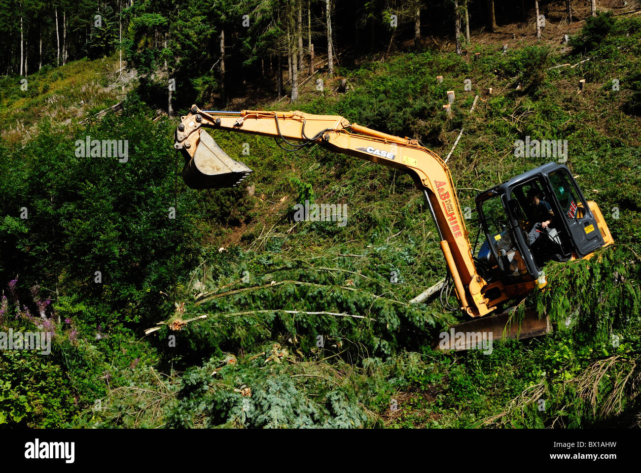 Digger clearing land hi-res stock photography and images - Alamy