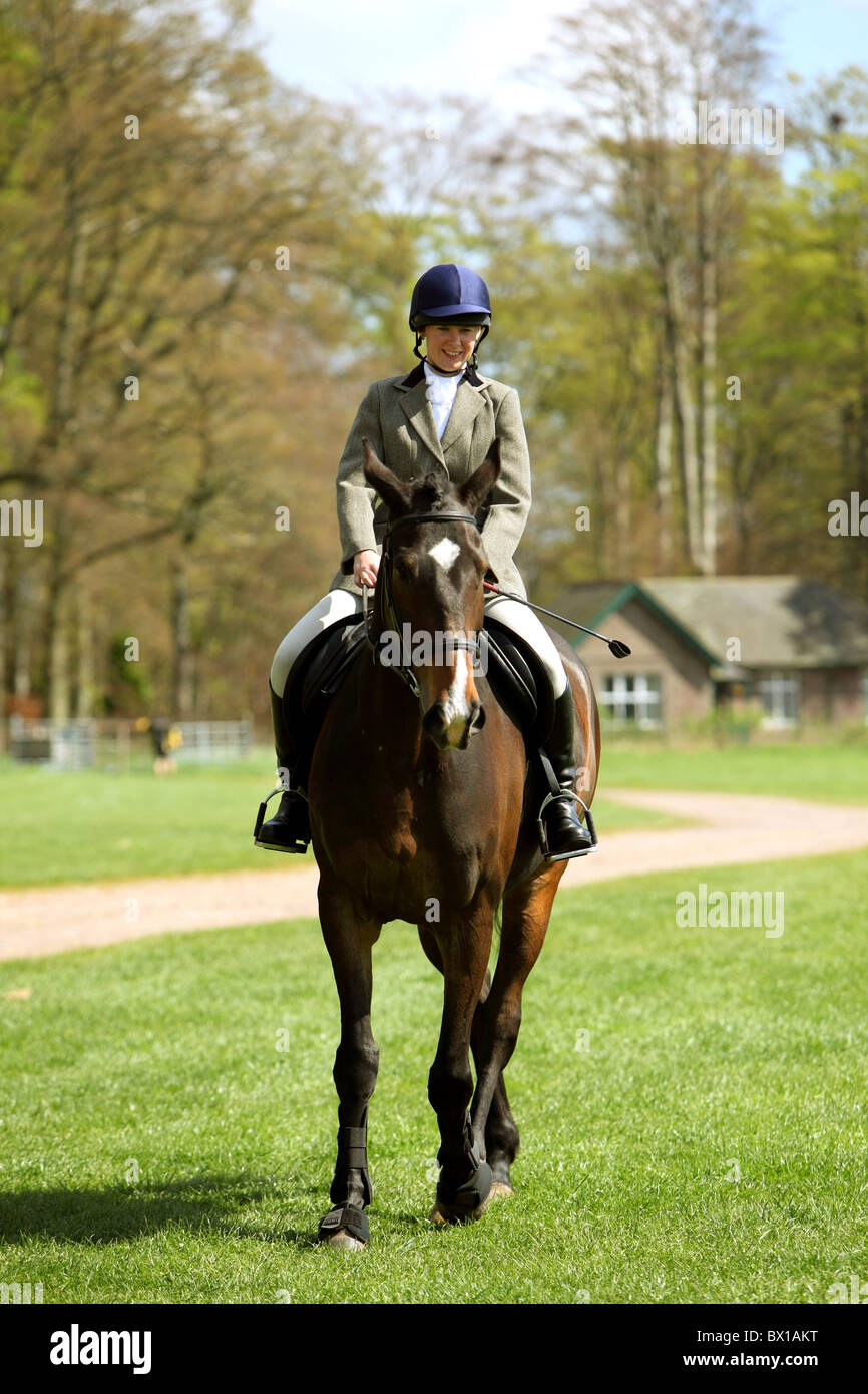 horse and rider warming up for working hunter show Stock Photo - Alamy