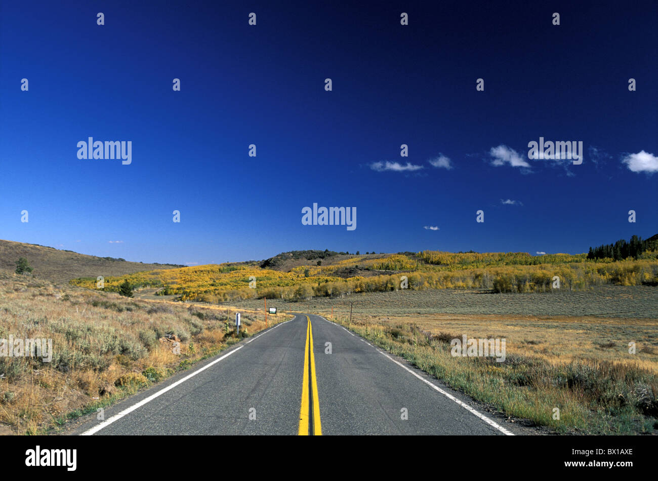 89 hi-res stock photography and images - Alamy