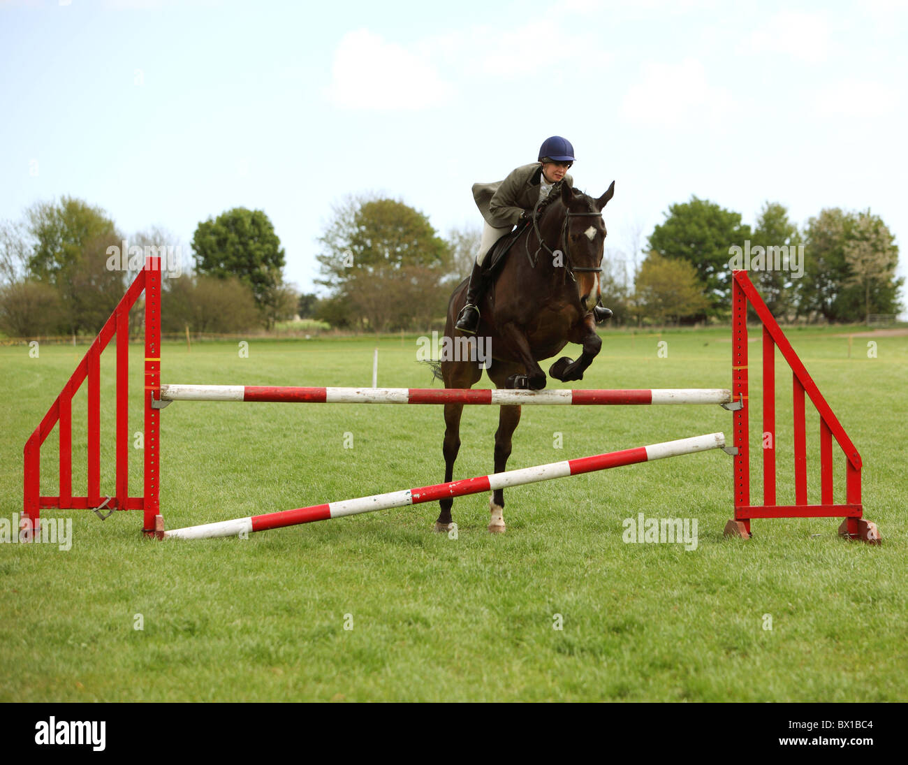 Working hunter uk hi-res stock photography and images - Alamy