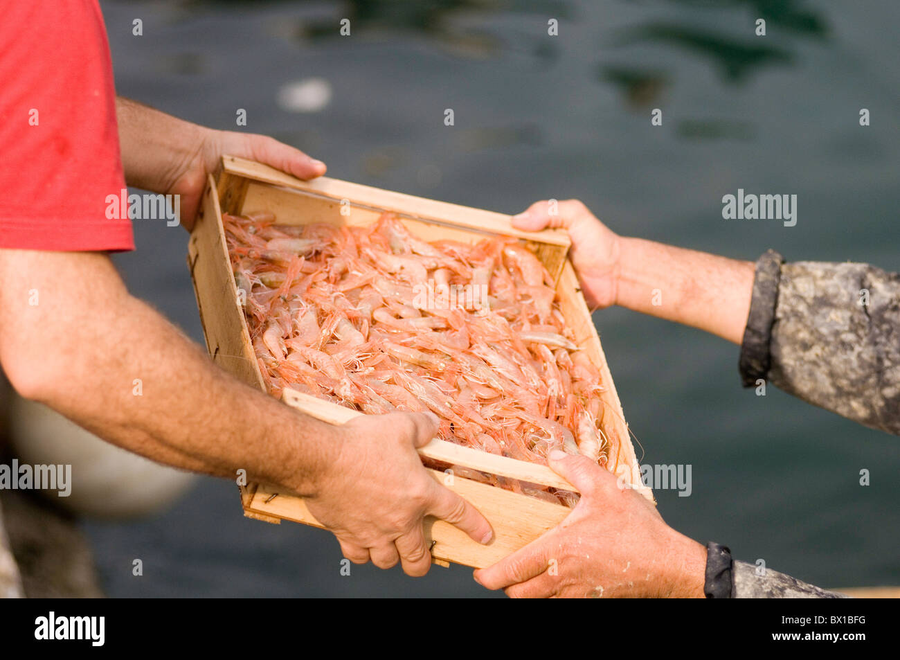 Landing fish catches hi-res stock photography and images - Alamy