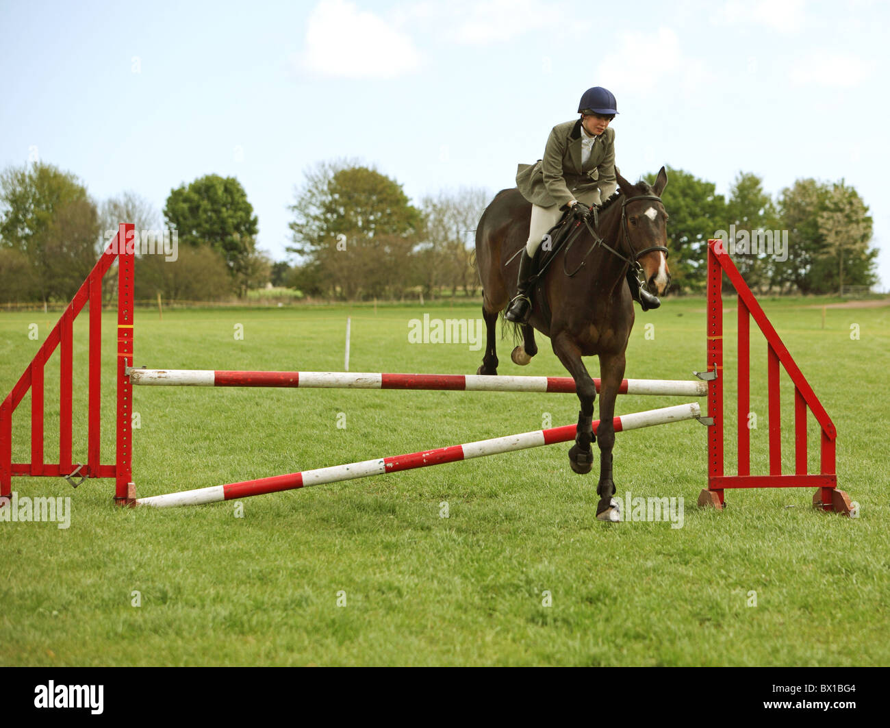 horse and rider warming up for working hunter show Stock Photo - Alamy