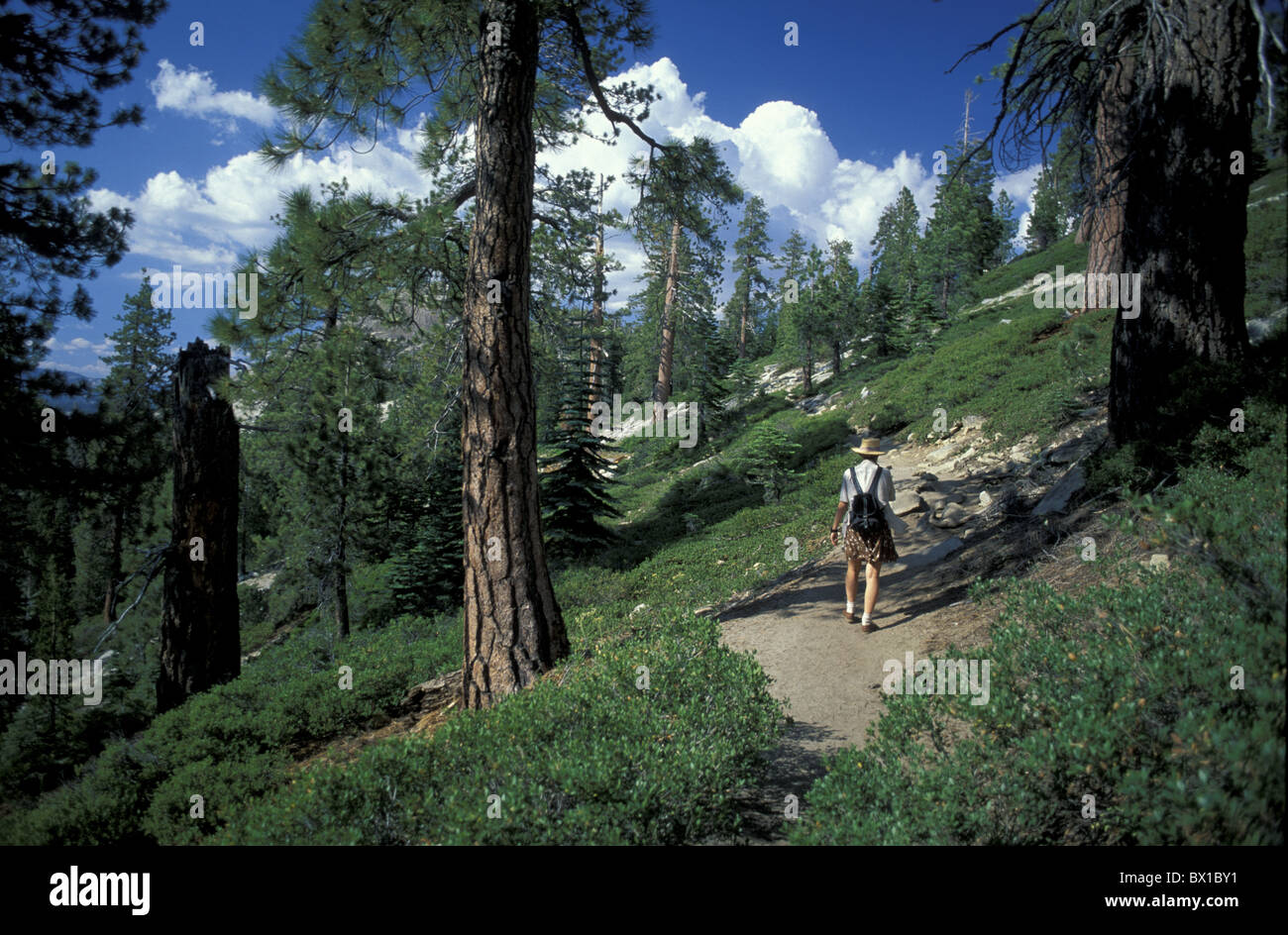 California Sentinel Dome USA America United States Yosemite national ...