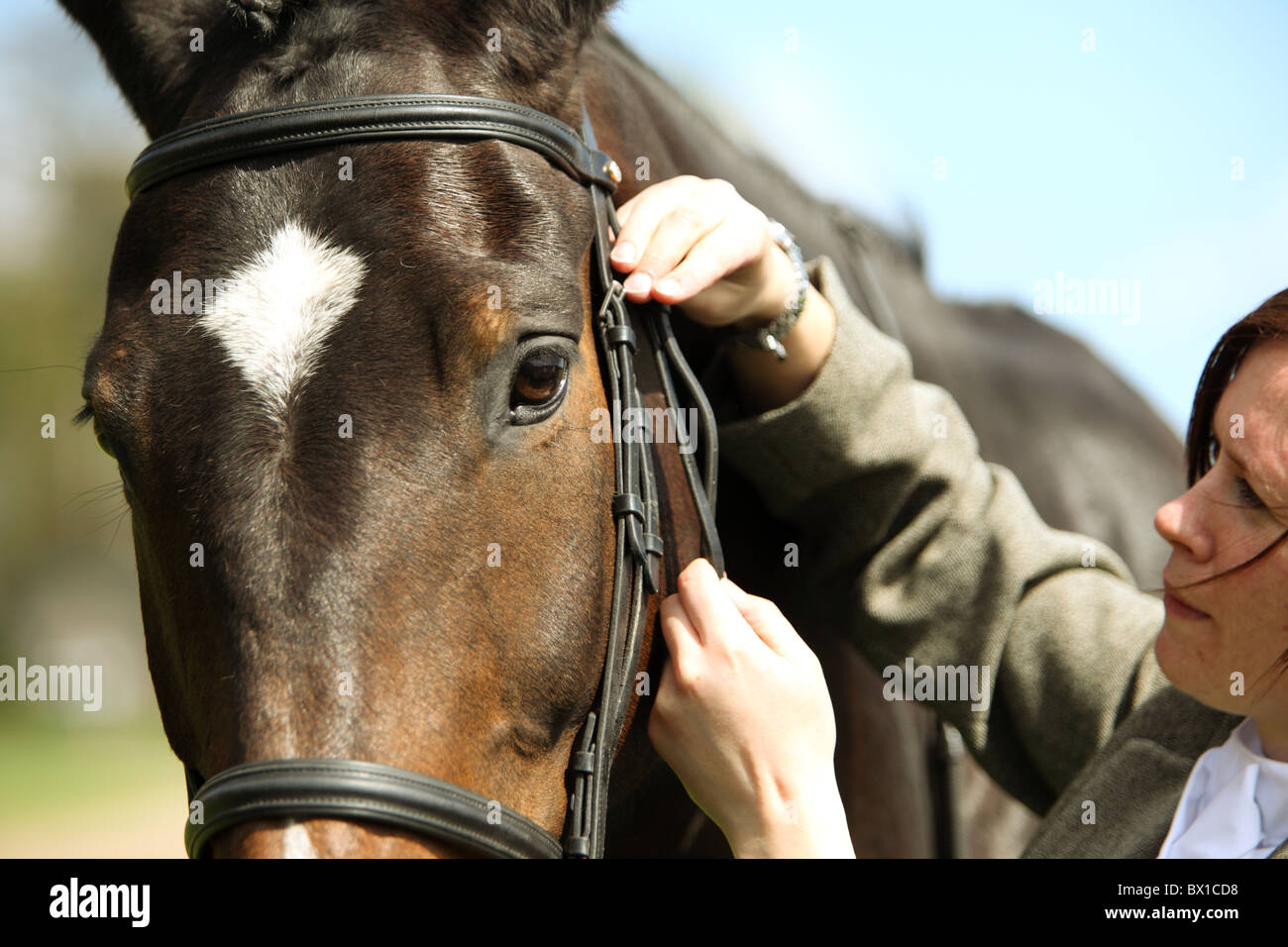 Bridle pieces hi-res stock photography and images - Alamy