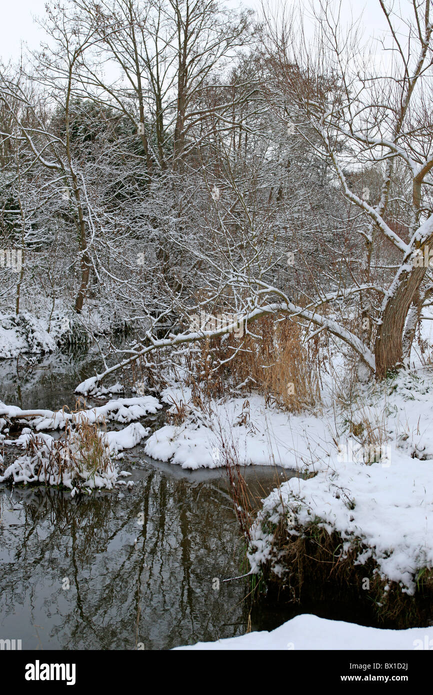 An icy cold river amongst a snow covered trees in England Stock Photo ...