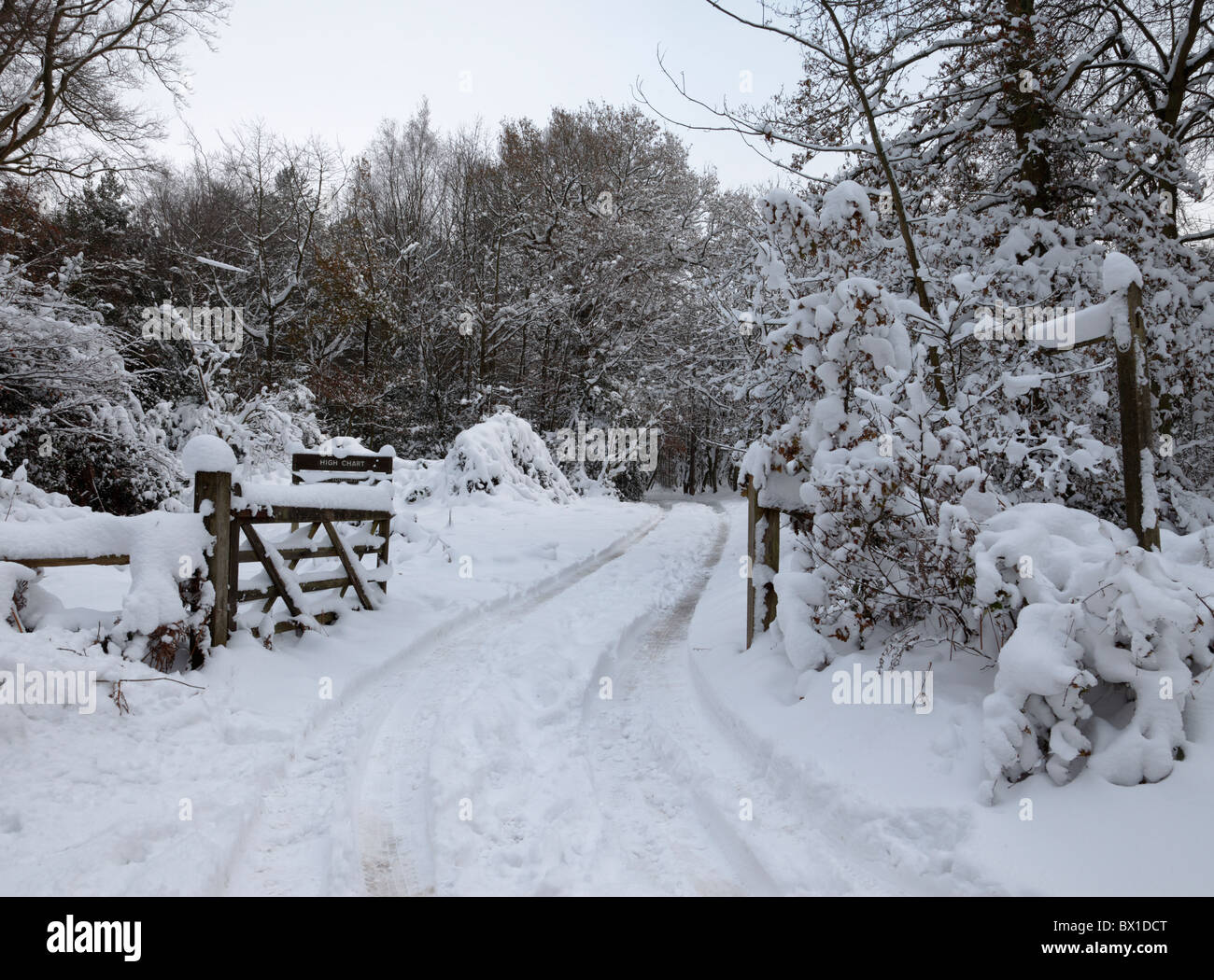 Snowy countryside hi-res stock photography and images - Alamy