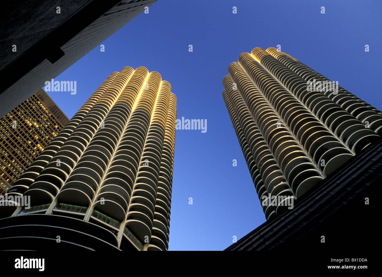 Chicago Illinois Marina Towers USA America United States architecture ...