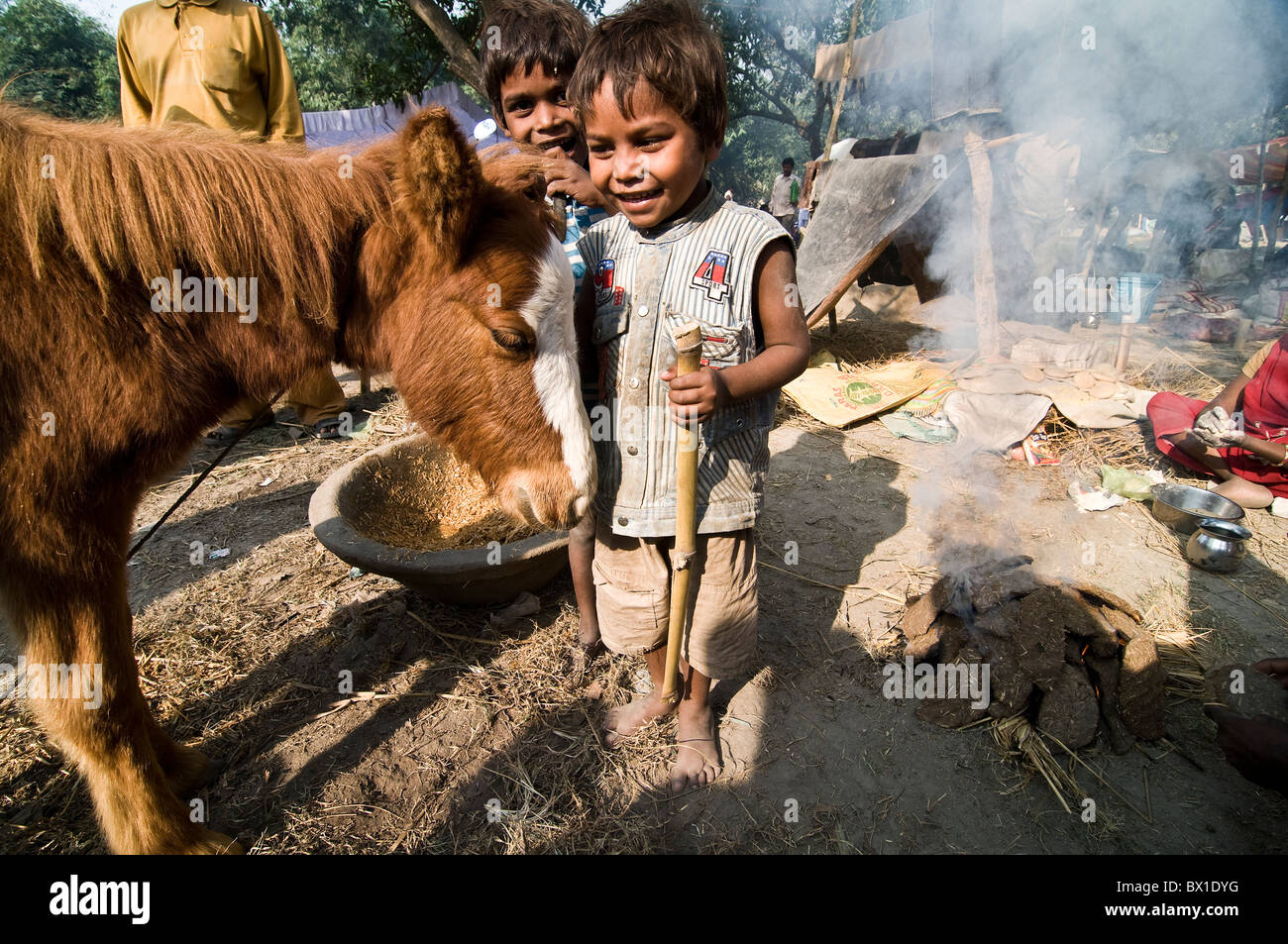 Elephants at the colorful Sonepur mela in Bihar Stock Photo - Alamy