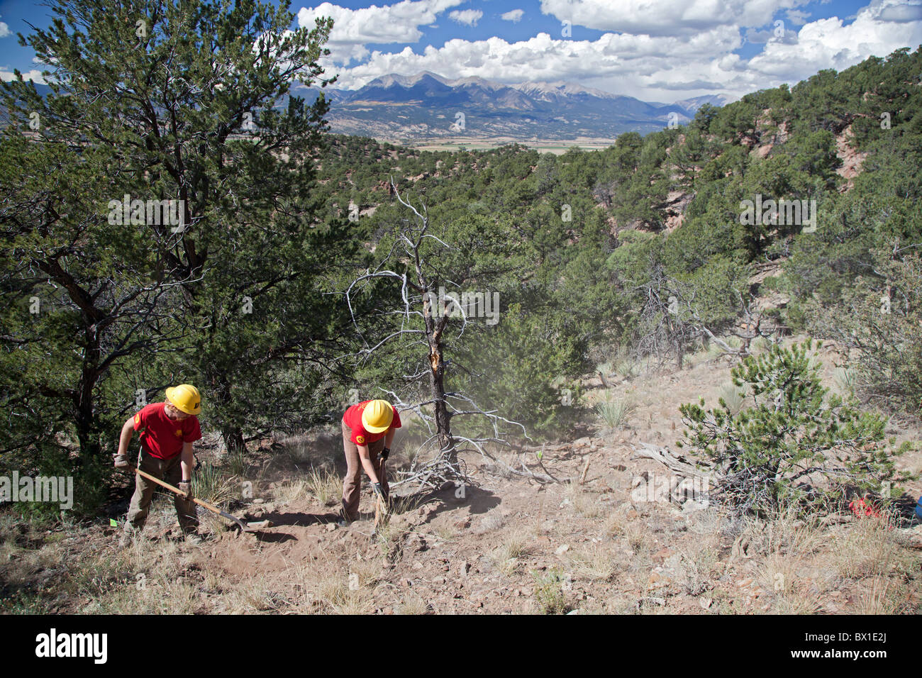 Construction of Mountain Bike Trail Stock Photo - Alamy