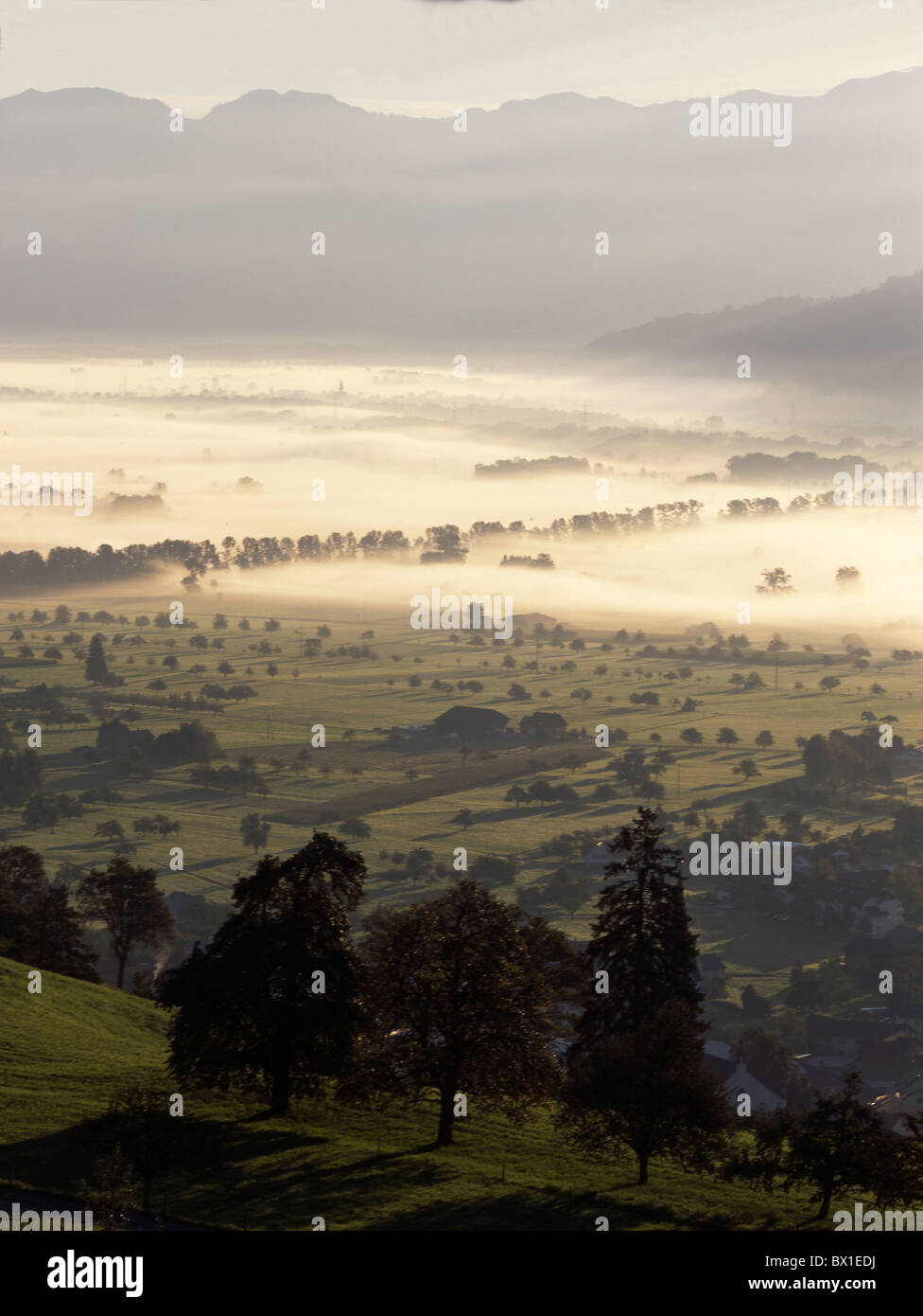 scenery landscape overview morning fog ground fog morning fog mood ...