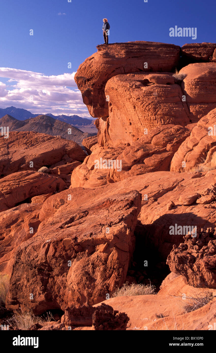 Cowboy Lake Mead National Recreation Area model released Nevada ...