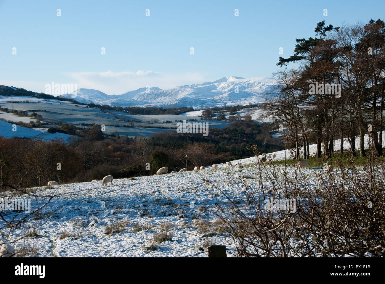 Mid wales snow scene hi-res stock photography and images - Alamy