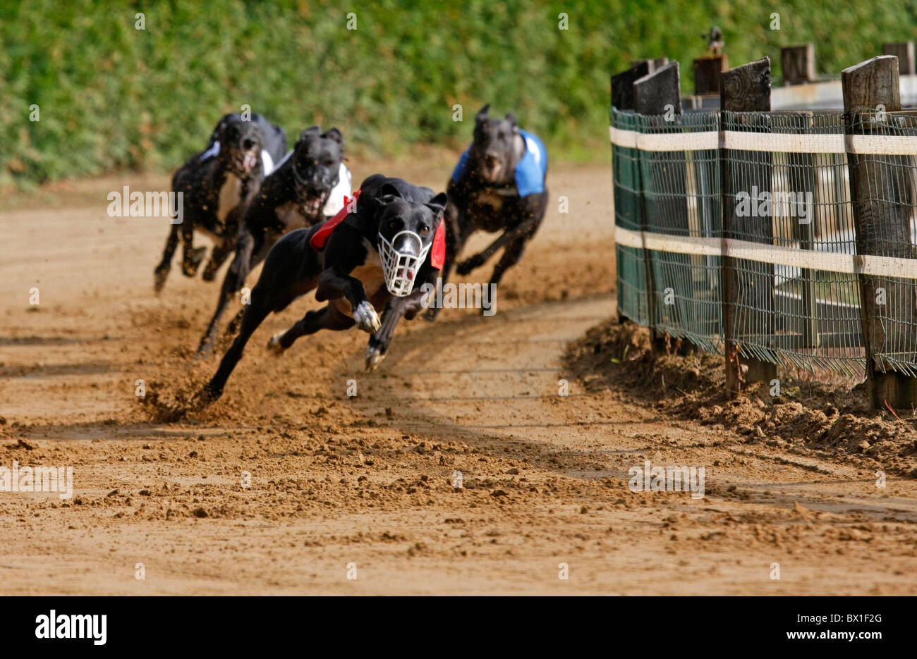 Rennbahnen hi-res stock photography and images - Alamy