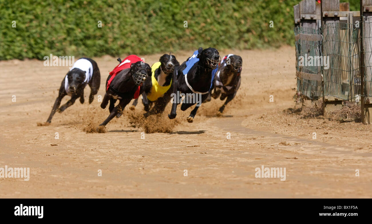 Rennbahnen hi-res stock photography and images - Alamy