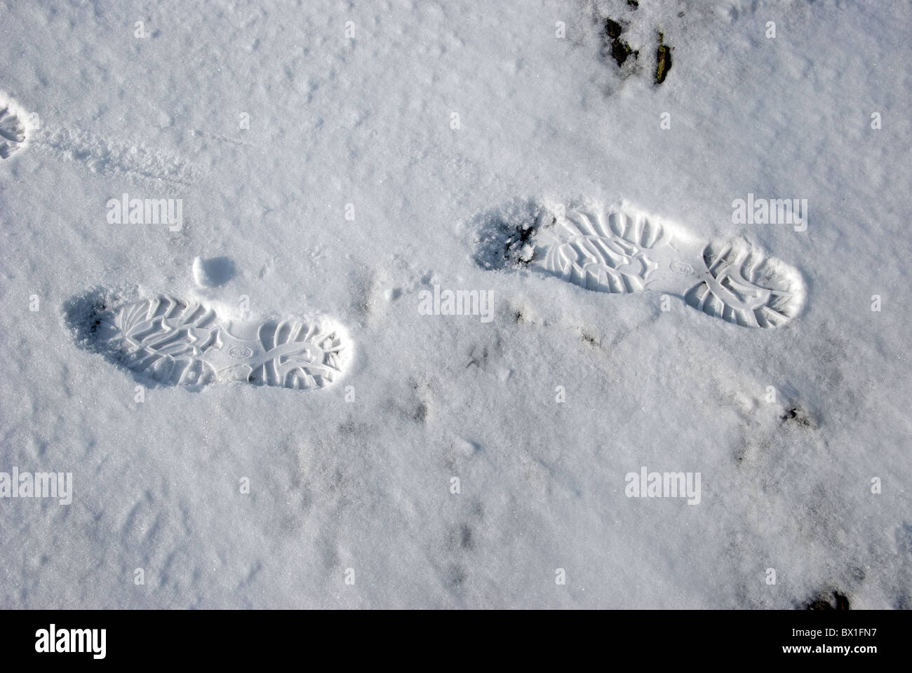Footprint in snow Stock Photo - Alamy
