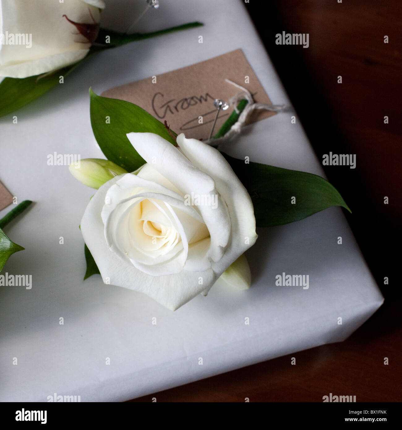 White Rose Button for Groom at Wedding Stock Photo - Alamy