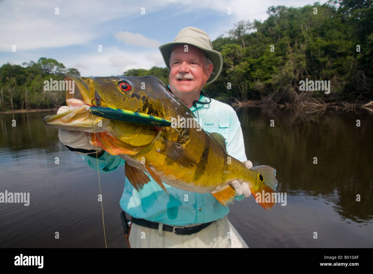 An angler carefully lifts a 20-lb peacock bass caught on a topwater ...