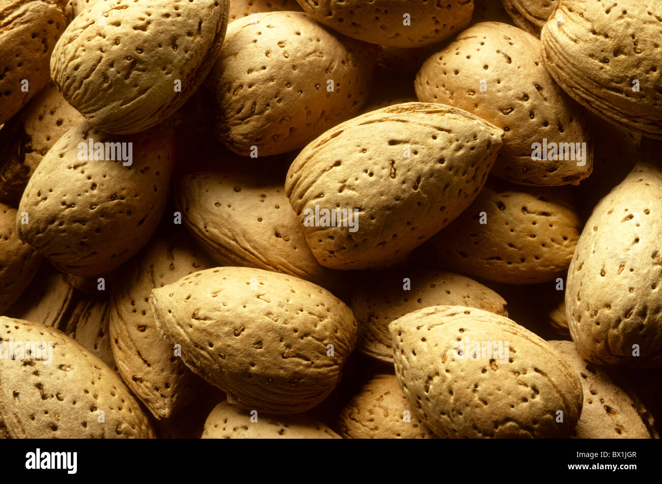 Almond tree nuts fill the frame closeup Stock Photo - Alamy