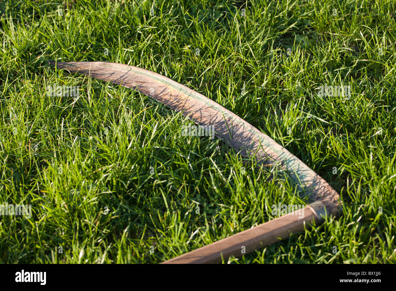 Closeup of sharp scythe in the green grass Stock Photo - Alamy