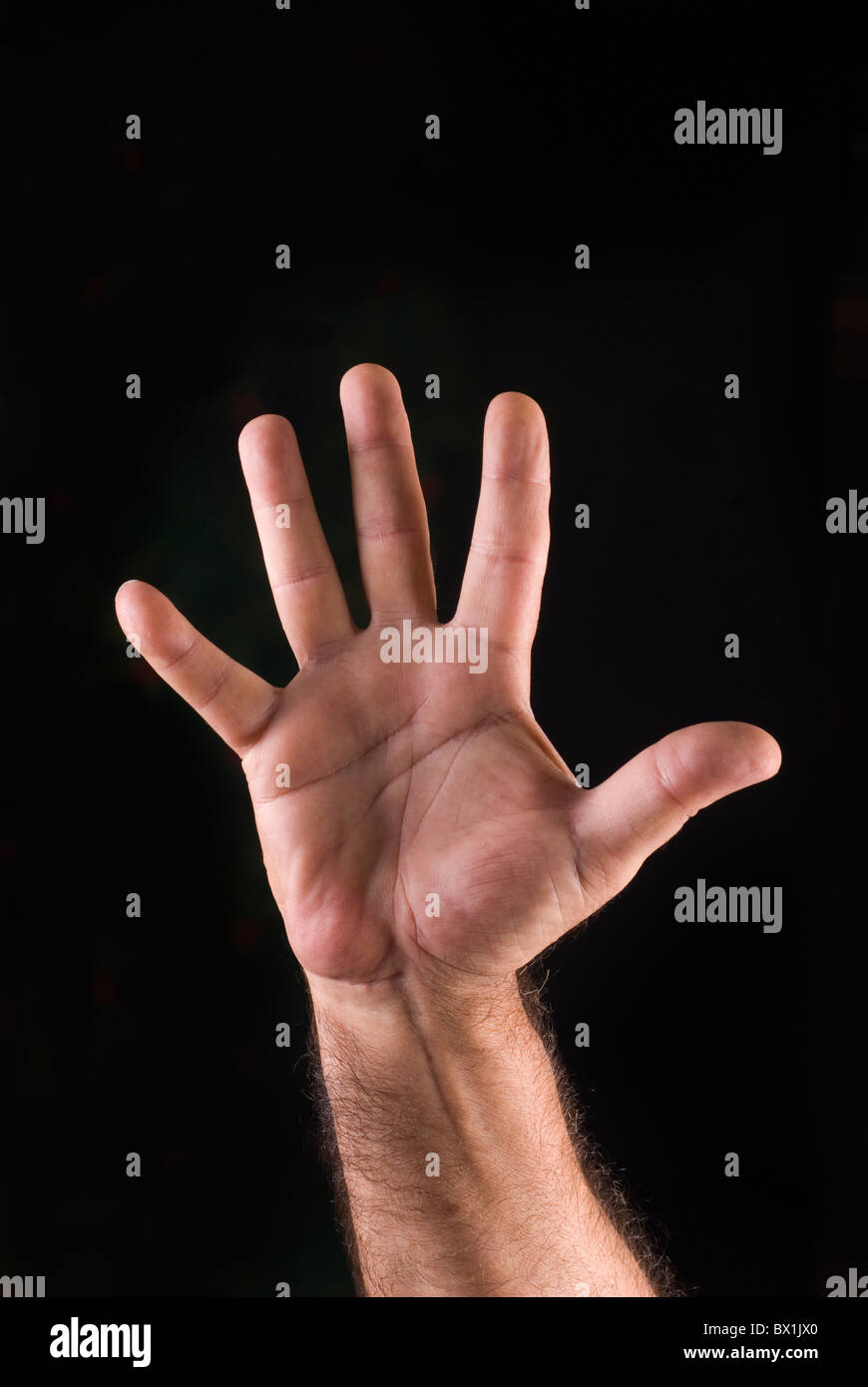 Hand of man showing a stop gesture Stock Photo - Alamy