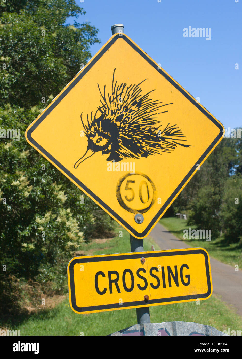 Australia shield sign board tip warning beak animal attention street ...