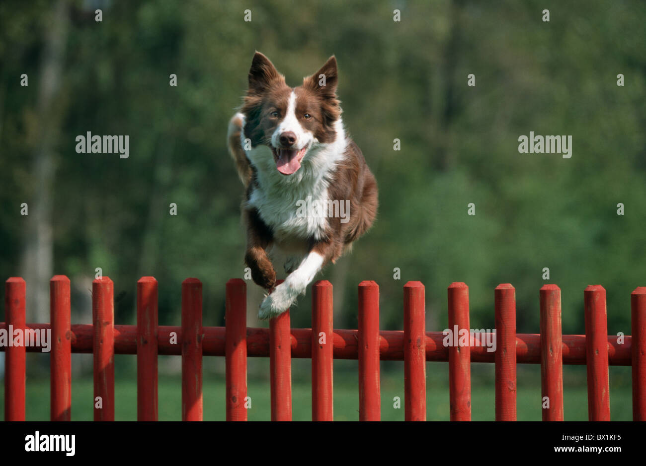 10816061 hi-res stock photography and images - Alamy