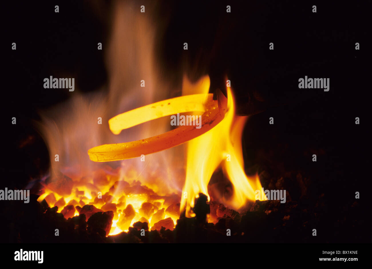 10816078 hi-res stock photography and images - Alamy