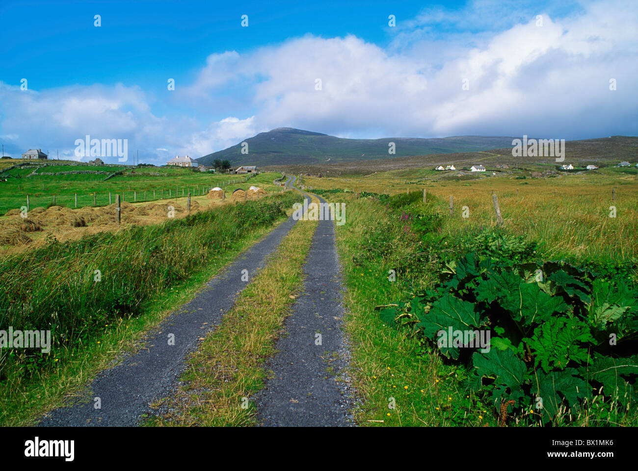Ireland, Rural Road Stock Photo - Alamy