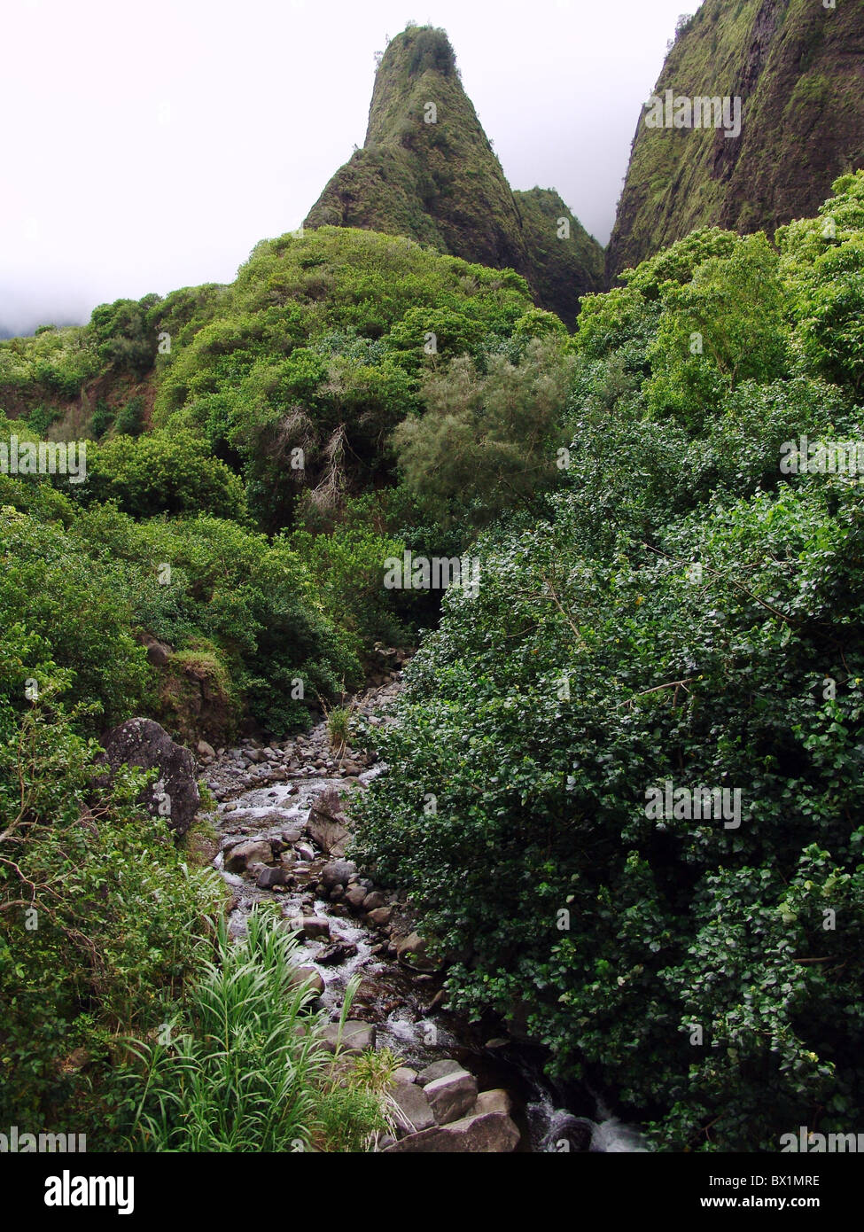 brook stream bushes green rocks scenery landscape volcanism volcano ...
